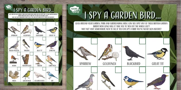 * NEW * "I Spy a Garden Bird" - Scavenger Hunt | Twinkl Party