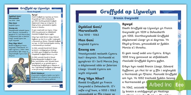 Ffeil Ffeithiau Gruffydd ap Llywelyn (teacher made) - Twinkl