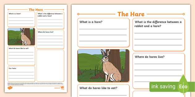 Hare Fact File Template (teacher made) - Twinkl