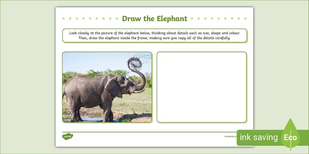Draw the Elephant Art Activity, Elephant (teacher made)