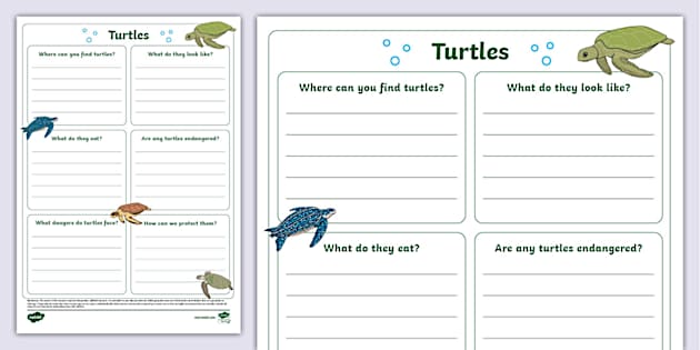 Turtles Fact File Template, turtle, about turtles - Twinkl