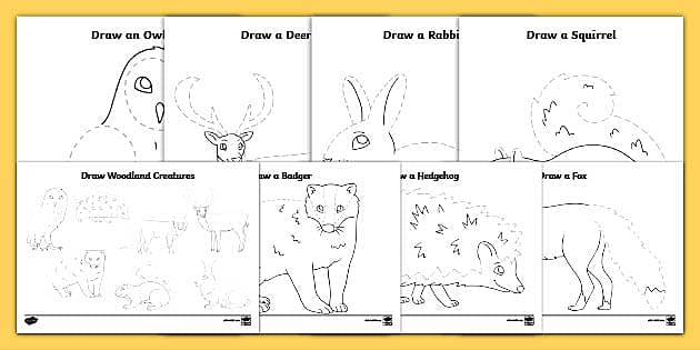 EYFS Draw a Woodland Creature Pencil Control Activity Pack