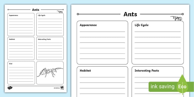 Ants Fact File Template,ant,ants (teacher made)