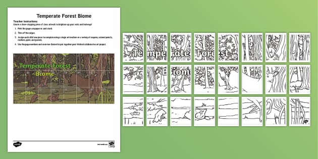 Temperate Forest Biome Collaborative Art Pack (teacher made)