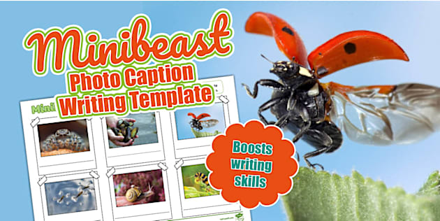 Minibeasts Photo Caption Writing Template