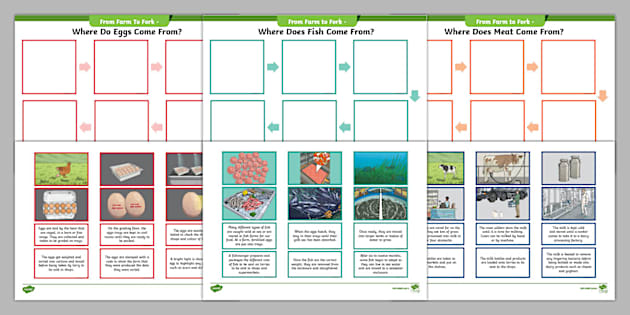 From Farm to Fork: Food Production Step by Step Process Ordering ...