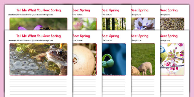 Printable Spring Writing Prompt for Kids | Twinkl USA