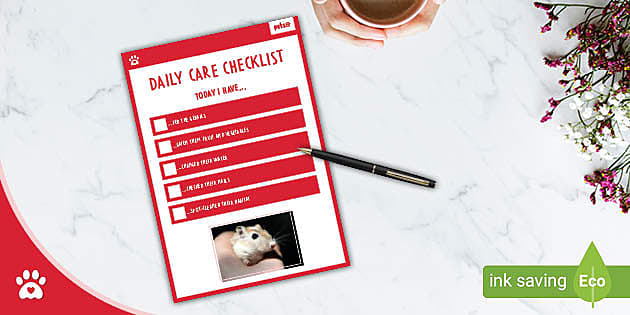 Gerbil Care - Daily Checklist - Gerbils - Pet - Twinkl Pets