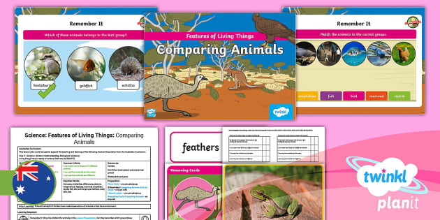 Year 1 Science Living Things Lesson 2 Comparing Animals