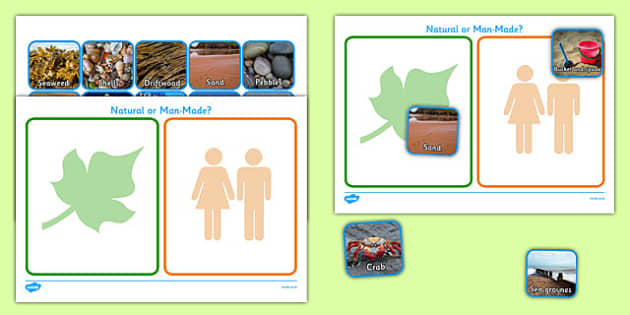 Seaside Themed Natural or Man Made Sorting Activity - seaside
