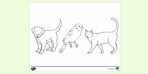 Pets Colouring | Colouring Sheets (teacher made)
