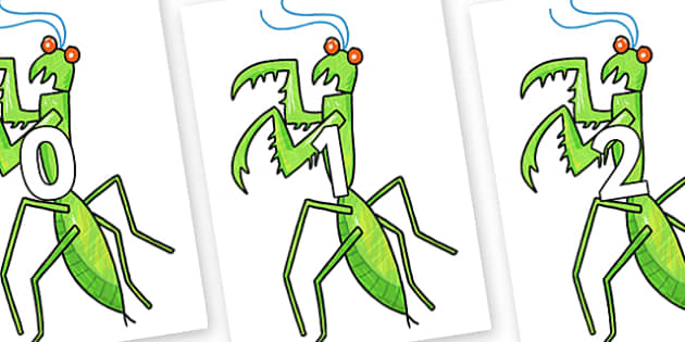 FREE! - Numbers 0-31 on Praying Mantis to Support Teaching on The Bad ...