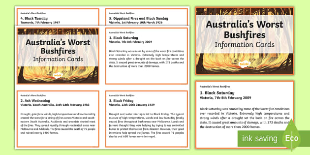 Australia’s Worst Bushfires Information Cards - Twinkl