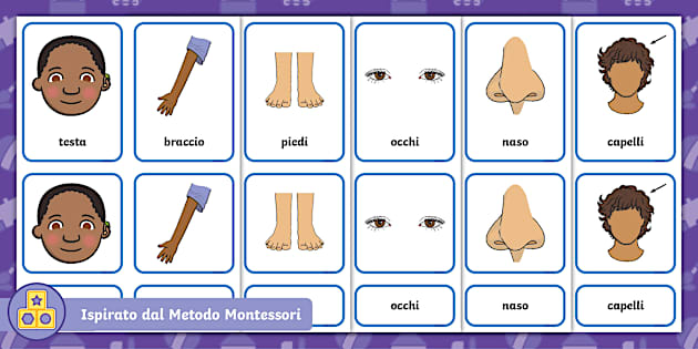 Carte Montessori Parti del Corpo (teacher made) - Twinkl