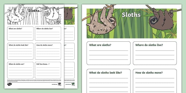 KS1 Sloth Fact File Template (l'enseignant a fait) - Twinkl