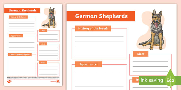German Shepherd Fact File Template - Twinkl