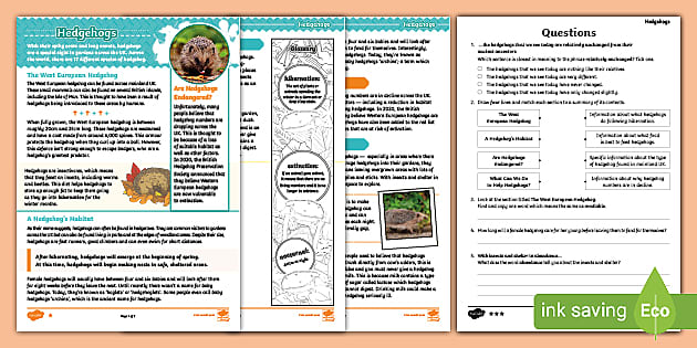 UKS2 Hedgehogs Differentiated Reading Comprehension Activity