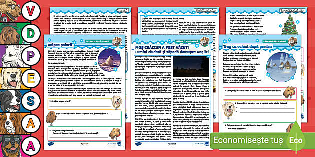 Detectivii lecturii Crăciun Fericit Fișe de lectură 9-12 ani