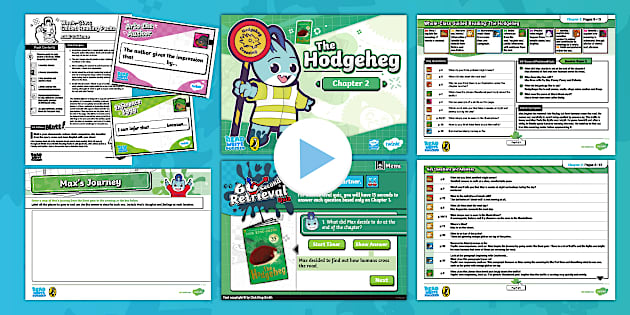 FREE! - The Hodgeheg Whole-Class Guided Reading Pack: Chapter 2 [LKS2]