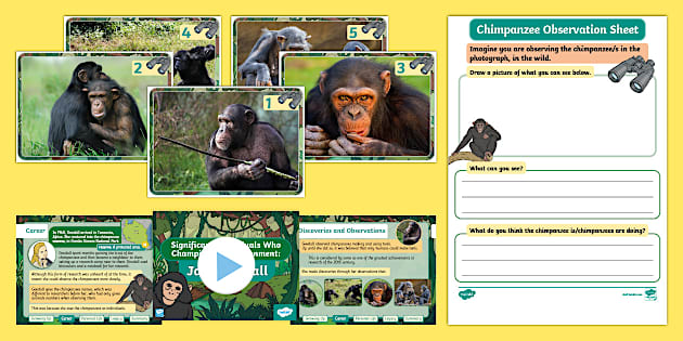 Environmental History Champions: Jane Goodall Resource Pack