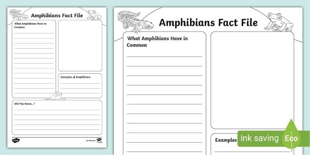 * NEW * Amphibian Fact File Template,amphibians - Twinkl