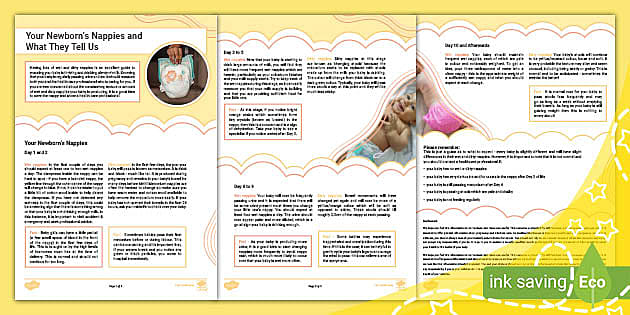 A Midwife's Guide to Wet and Dirty Nappies (Teacher-Made)