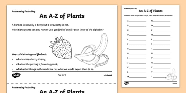 An A-Z of Plants Worksheet / Worksheet (Teacher-Made)