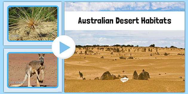 Australian Desert Habitat Photo PowerPoint - australia, Science