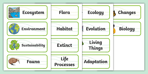 Living World Word Cards
