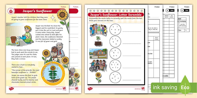 Level 9: 'Jasper's Sunflower' 60-Second Reading Set 2