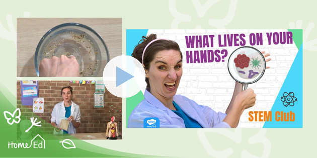 FREE! - Science of Handwashing (teacher made) - Twinkl