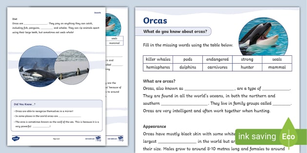 Orcas Cloze Worksheet (teacher made) - Twinkl