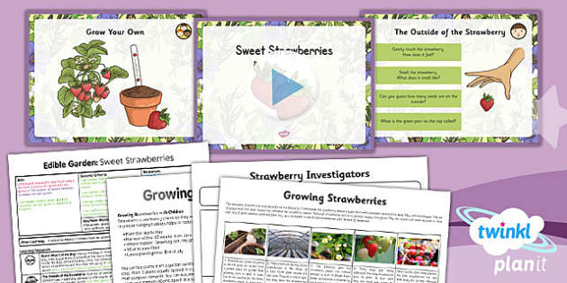 D&T: Edible Garden: Sweet Strawberries LKS2 Lesson Pack 3