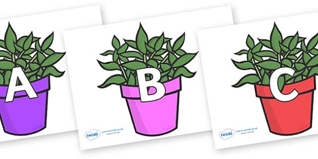 A-Z Alphabet on Plants