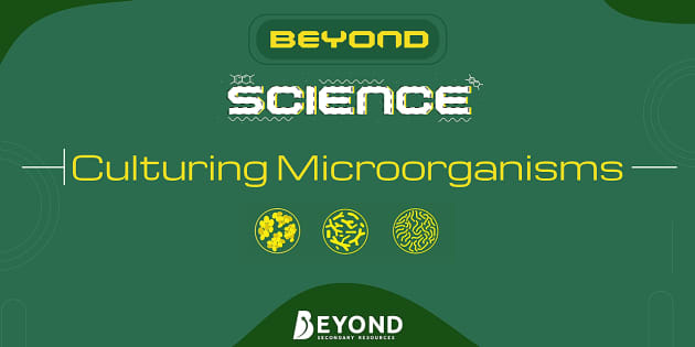 Culturing Microorganisms KS4 Cell Biology Video | Beyond