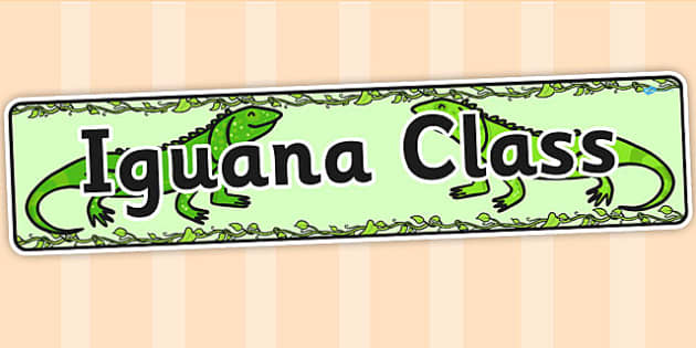 Iguana Class Display Banner