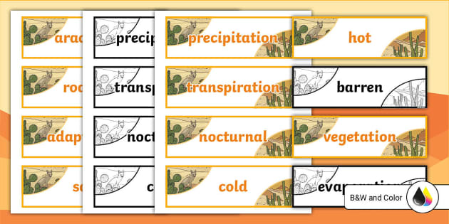 Desert Biome Word Cards for 3rd-5th Grade - Twinkl