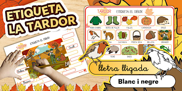 Fitxa d'activitat: Etiqueta el dibuix de tardor - Valencià