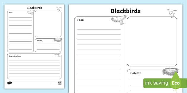 Blackbirds - Fact File Template (Teacher-Made) - Twinkl