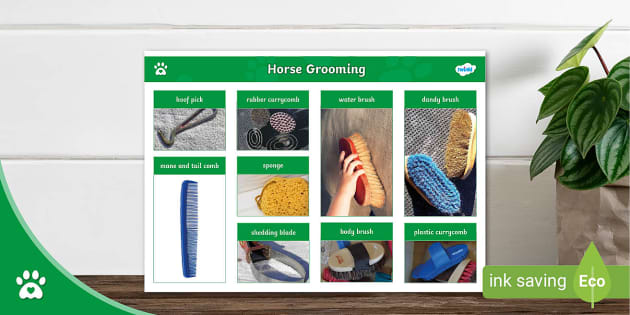 Horse Grooming - Word Mat - Horses - Brushes - Twinkl Pets