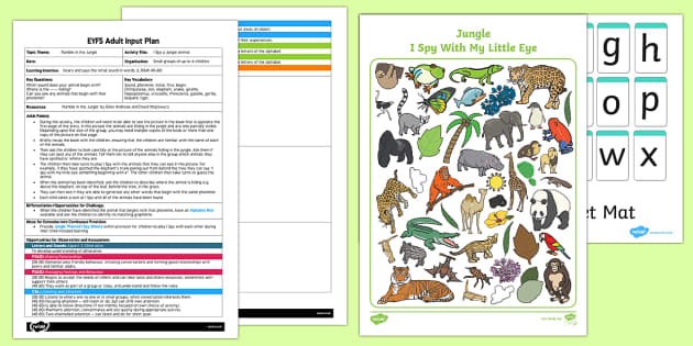 I Spy a Jungle Animal EYFS Adult Input Plan - Twinkl