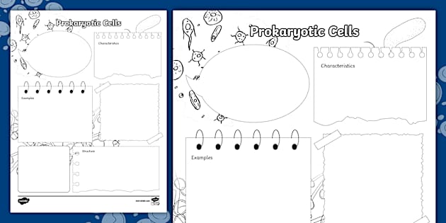 Prokaryotic Cell Notes Doodle Organizer for 6th-8th Grade