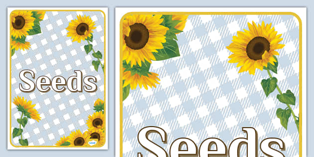 Sunflower-Themed Seeds Display Poster (teacher made)