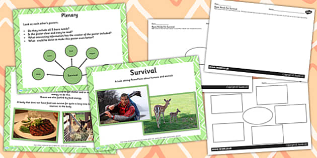 Animals Including Humans Survival Lesson Teaching Pack PowerPoint