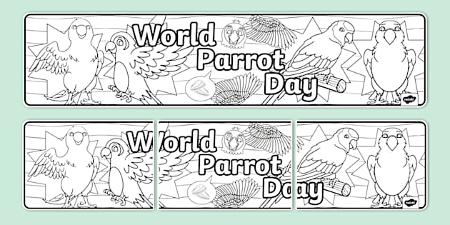 World Parrot Day Colouring Display Banner (teacher made)