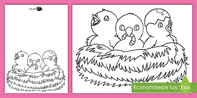 Puișori de primăvară – Felicitare (teacher made)