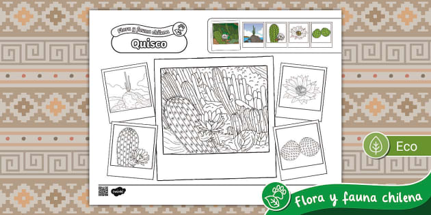 Hoja para colorear Quisco (teacher made) - Twinkl