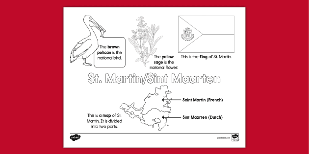 French St Martin Flag