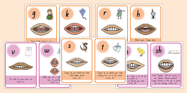 Twinkl Phonics: Speech Sound Cards Display (professor feito)