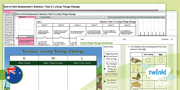 Year 2 Science Living Things Change Assessment Pack - Twinkl